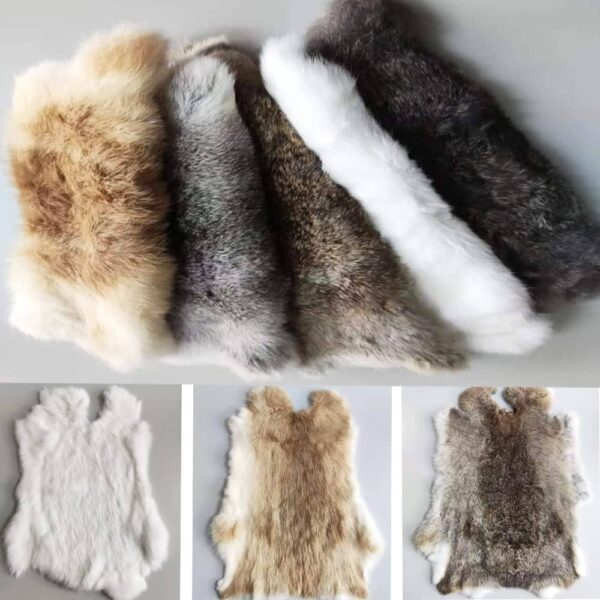 Premium Rabbit Skin - DEVRAN TRADING LLC - DEVRAN TRADING LLC Wholesale ...